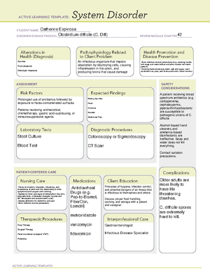 PCA Pump ATI Concept Document - ACTIVE LEARNING TEMPLATES THERAPEUTIC ...