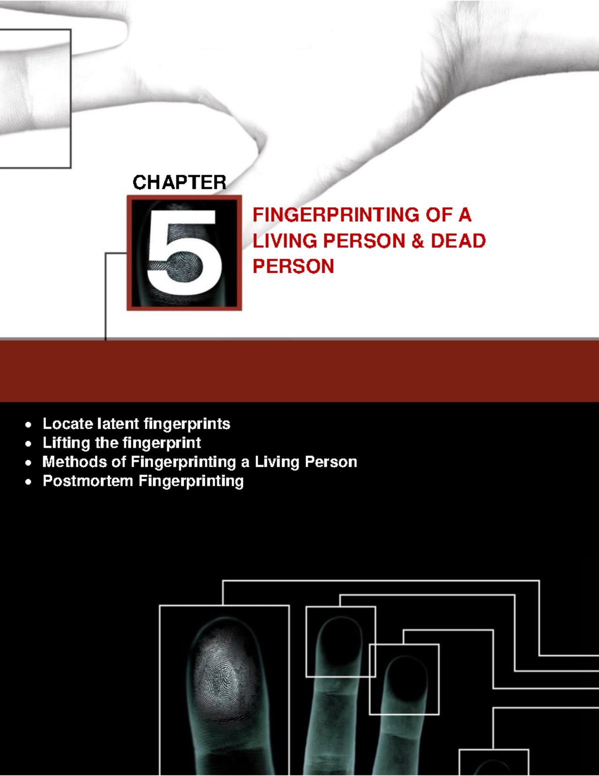Forensic Identification - Chapter 5-8 - Bachelor of science in ...