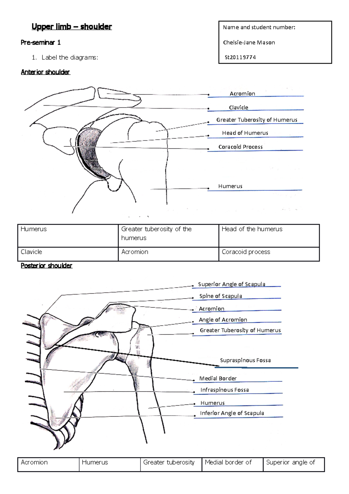 Shoulder 1 - Upper limb – shoulder Pre-seminar 1 Label the diagrams ...