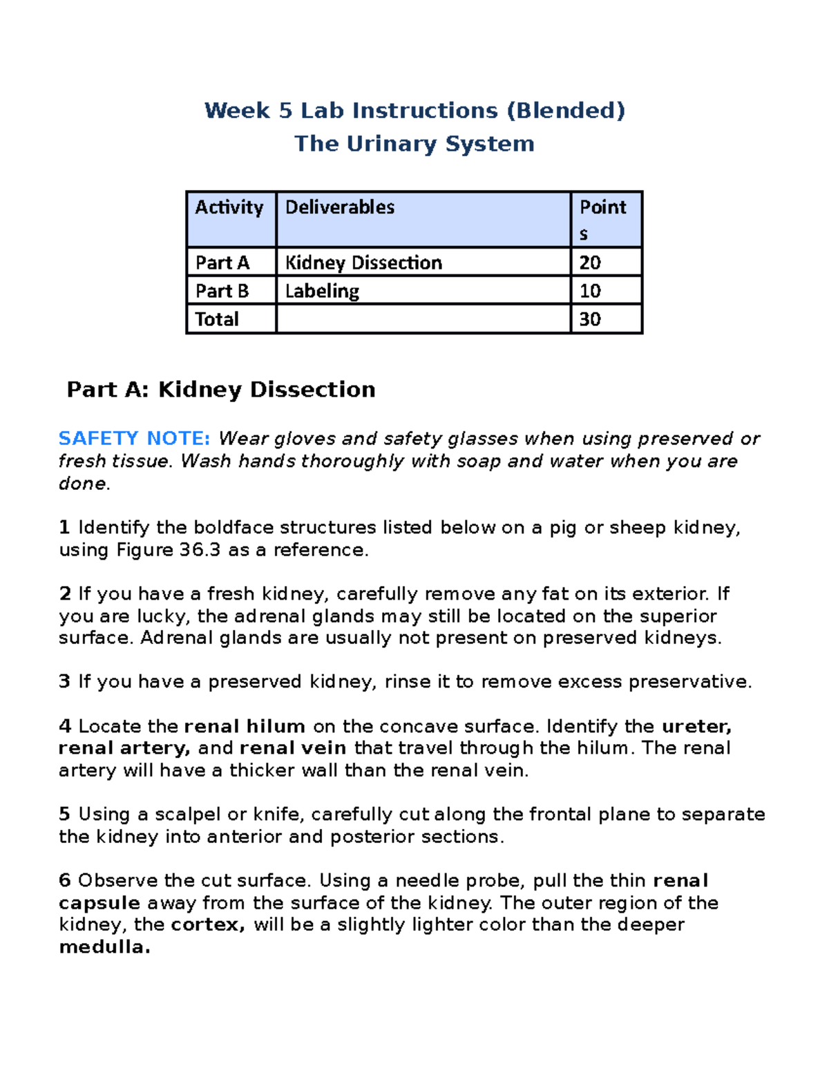 WK 5 LAB. - Week 5 Lab Instructions (Blended) The Urinary System Activity Deliverables Point s ...