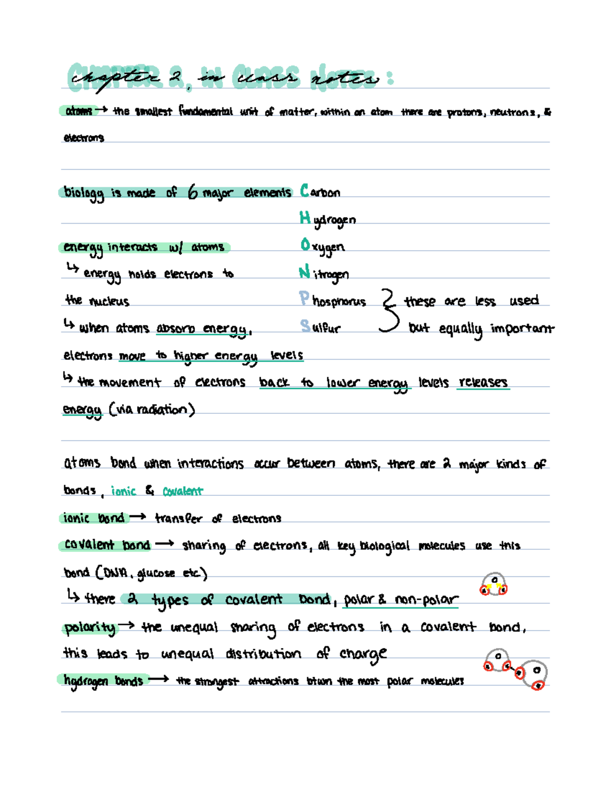 Chapter 2 + 3 in class: Chemical Context of Life + Properties of Water ...