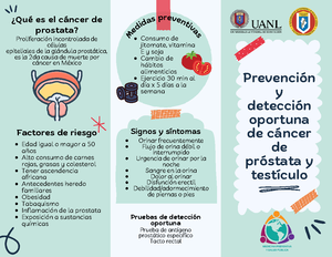 Tríptico Cancer de cervix - Medidas preventivas También conocido como ...