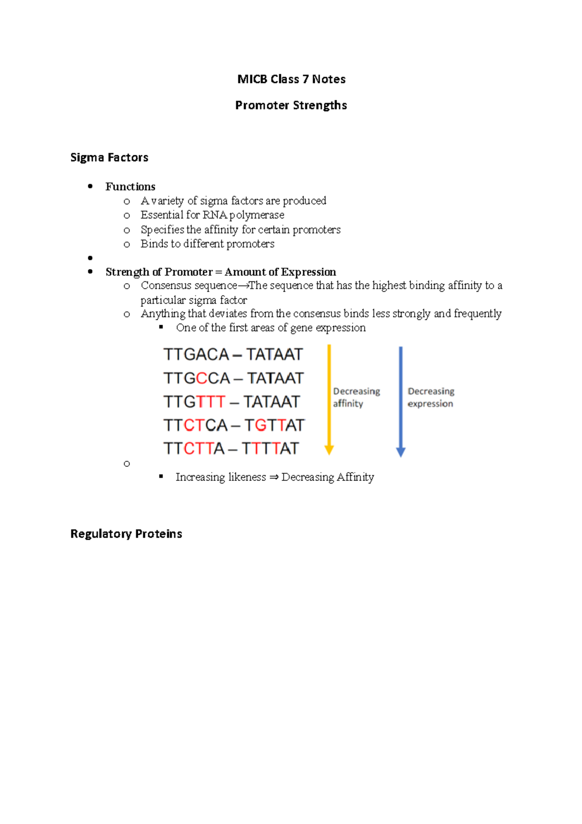 MICB 211 Class 7 Notes - MICB Class 7 Notes Promoter Strengths Sigma ...