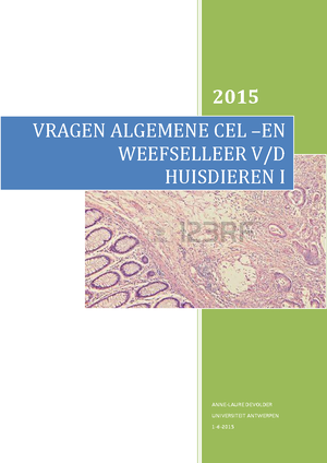 Practicum spierweefsel - Practicum: spierweefsel Glad spierweefsel: Bij ...