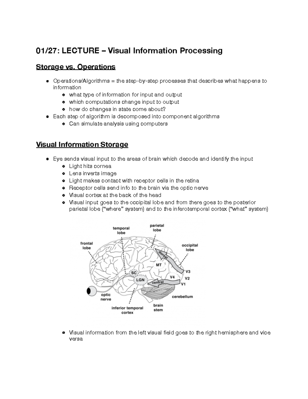 01:27 lecture - professor spoehr 2019-2020 - 01/27: LECTURE – Visual ...