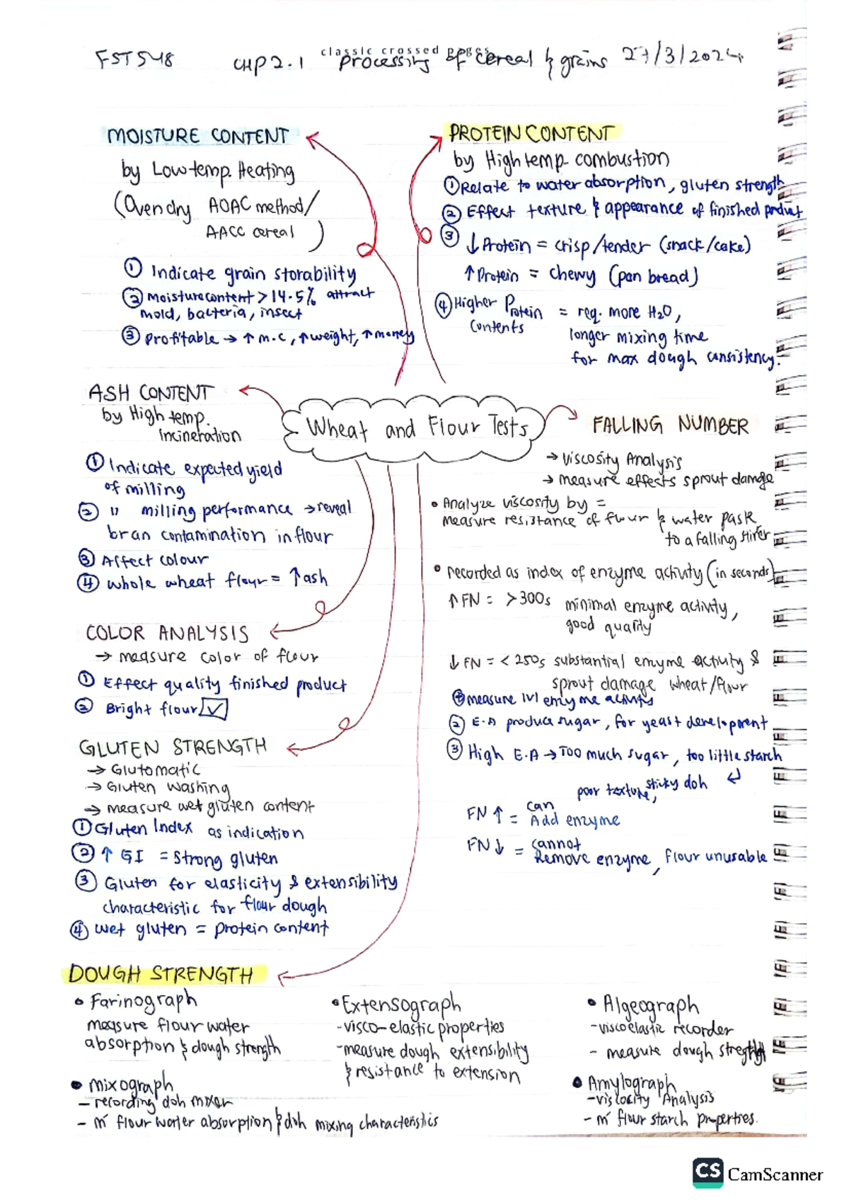 Mind map wheat and flour test - Food Processing Technology - CamScanner ...