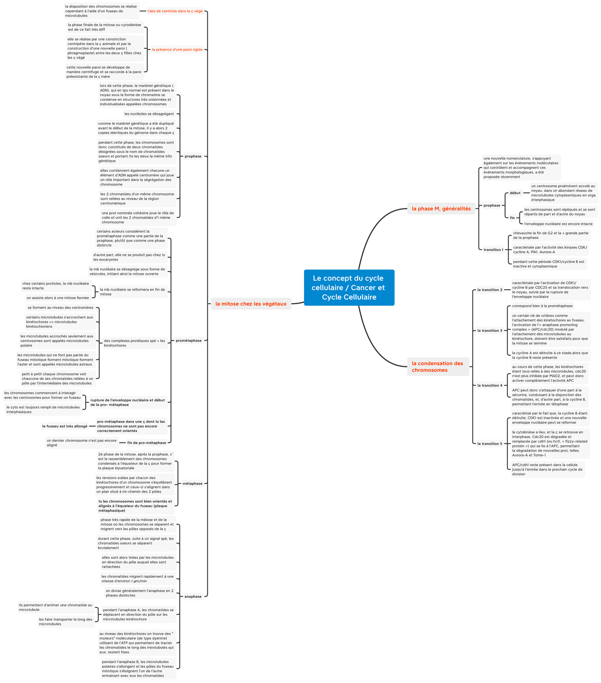 Cancer et Cycle Cellulaire - Le concept du cycle cellulaire / Cancer et ...