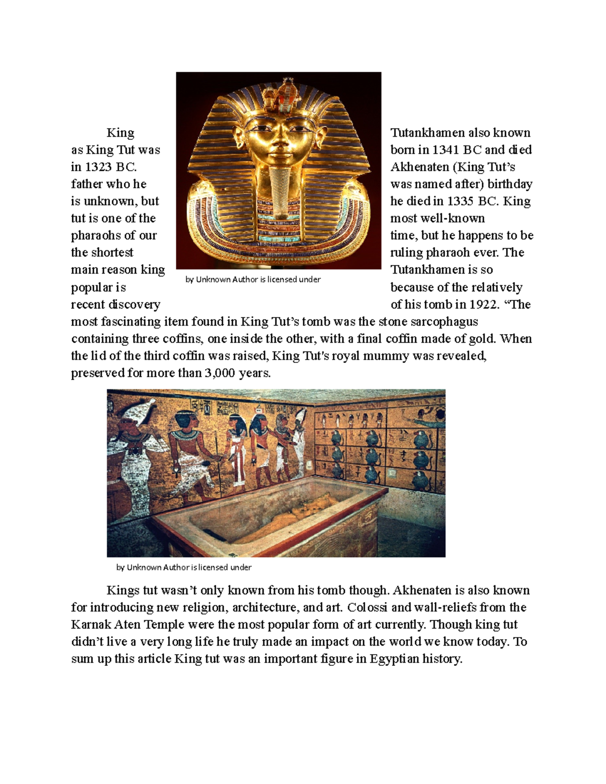 King tut paper / news paper article This paper is about king tut and ...