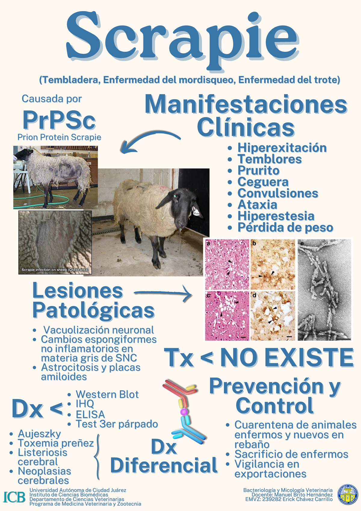 Scrapie Erick Chávez Carrillo - PrPScPrPSc ...