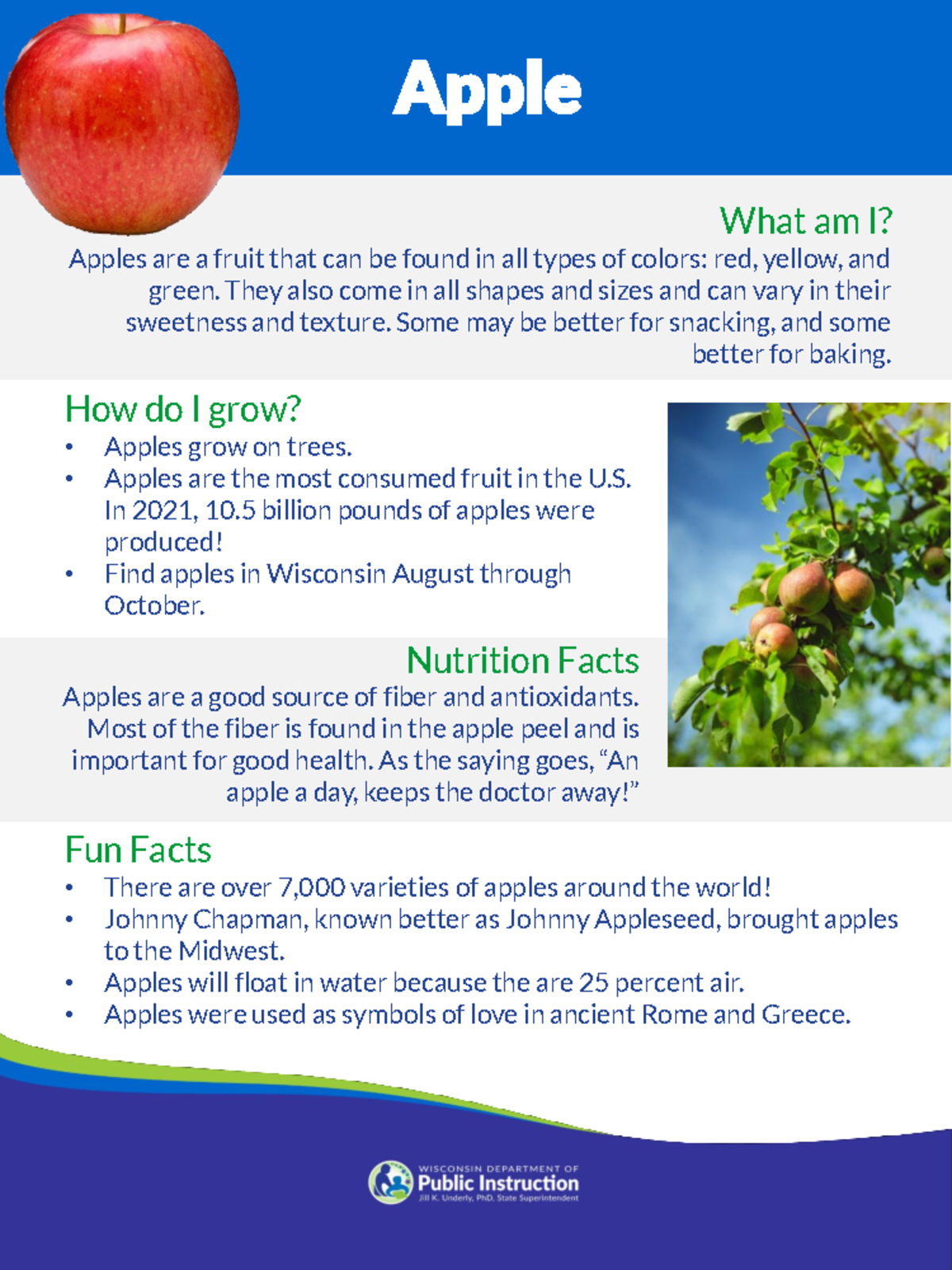 Testicular Pain - Apple What am I? Apples are a fruit that can be found ...