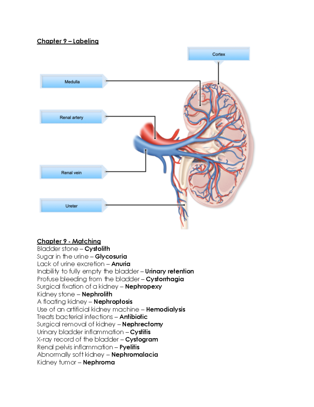 Chapter 9 - Summer Semester - Chapter 9 – Labeling Chapter 9 - Matching ...