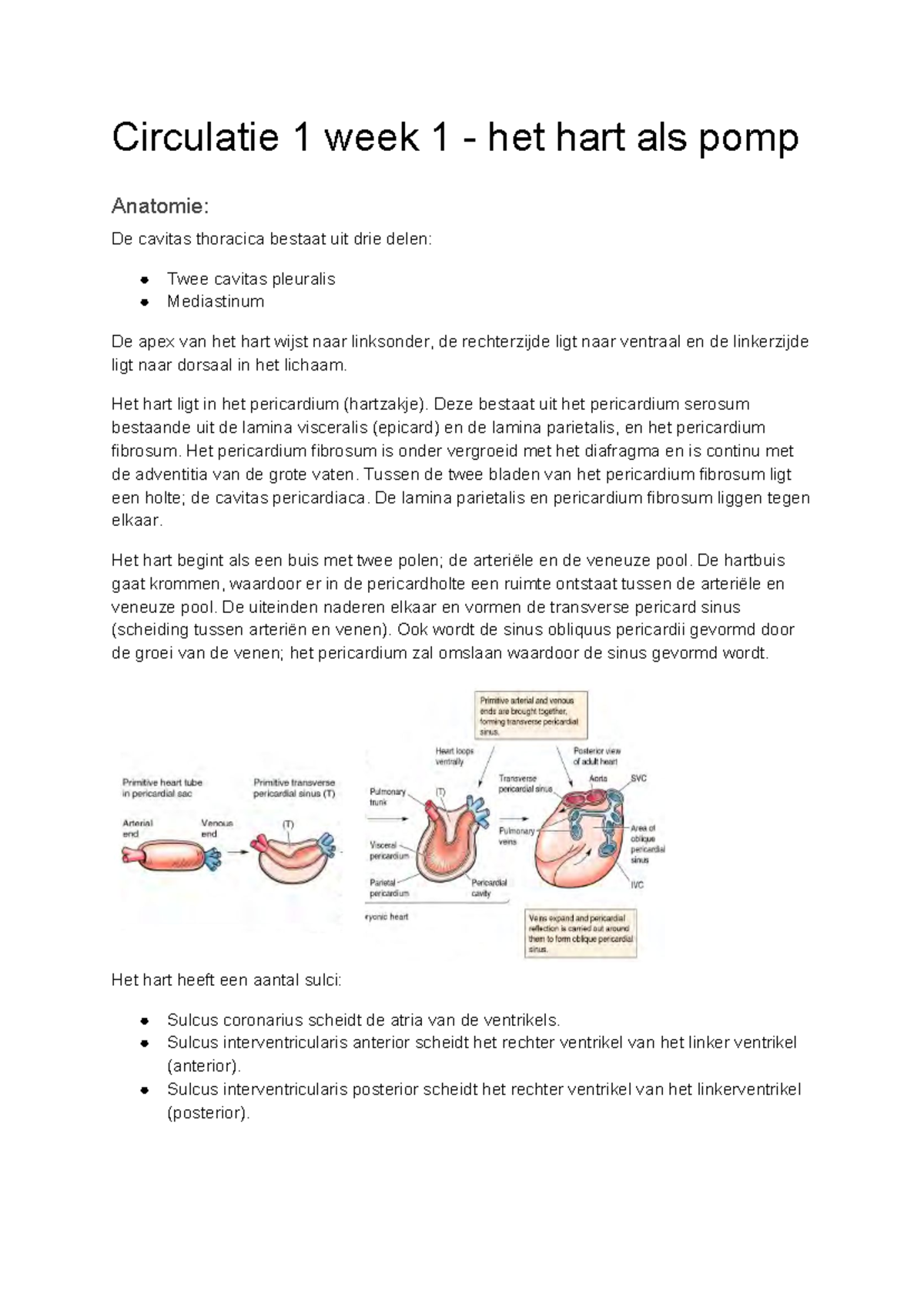 Circulatie 1 week 1 - het hart als pomp - Circulatie 1 week 1 - het ...