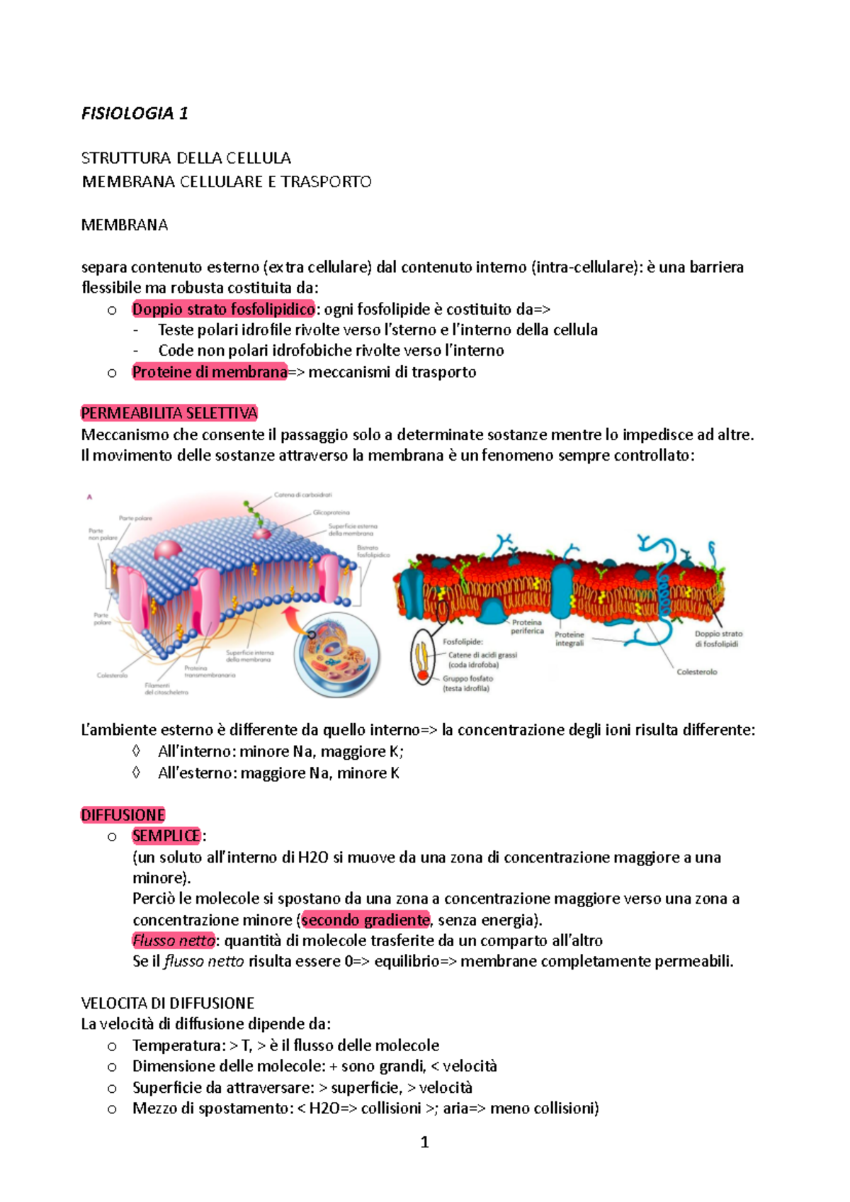 Fisiologia: sistema nervoso, muscolare, cardiaco - FISIOLOGIA 1 STRUTTURA DELLA CELLULA MEMBRANA ...