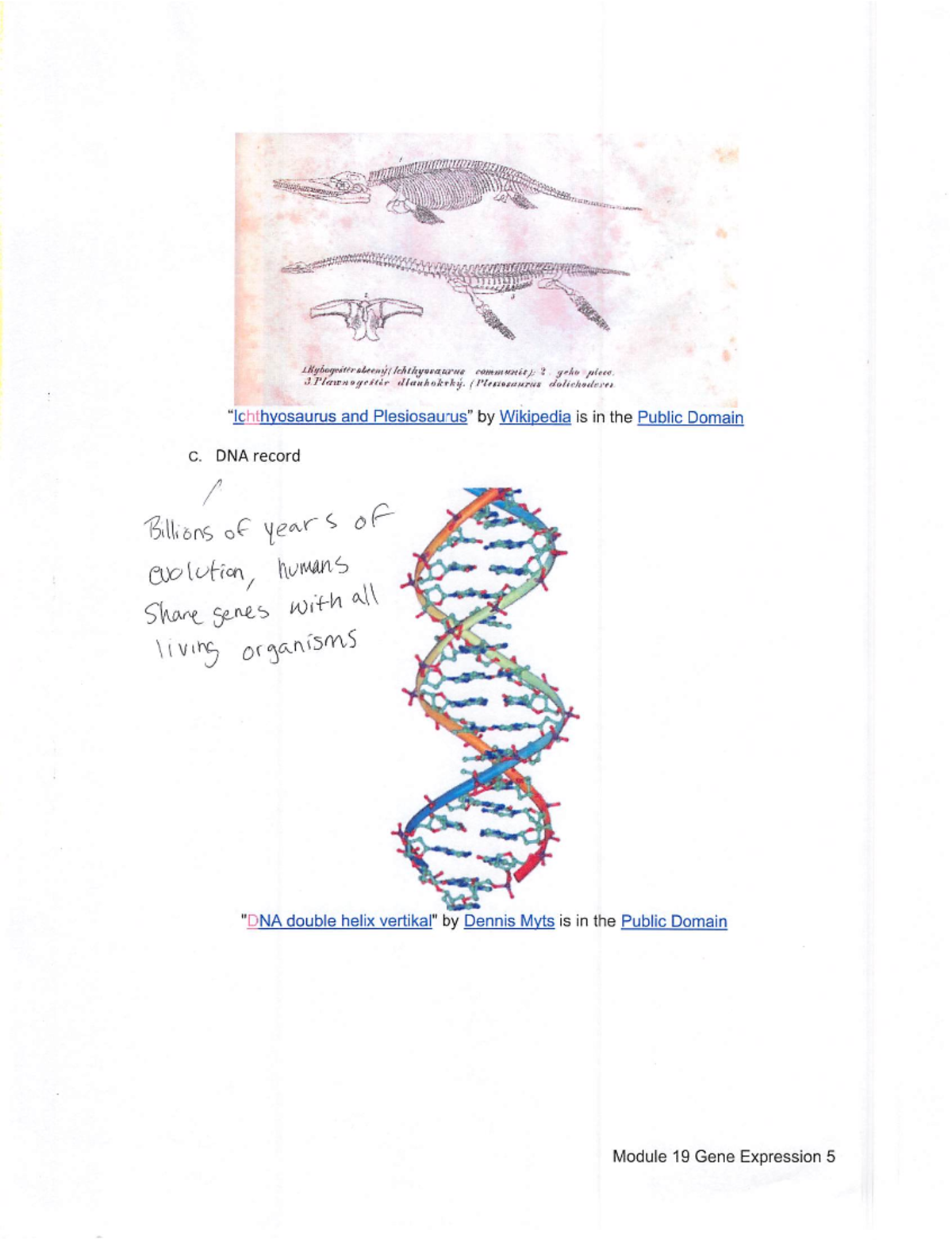 Module 19 Study Questions - C-190 - Studocu