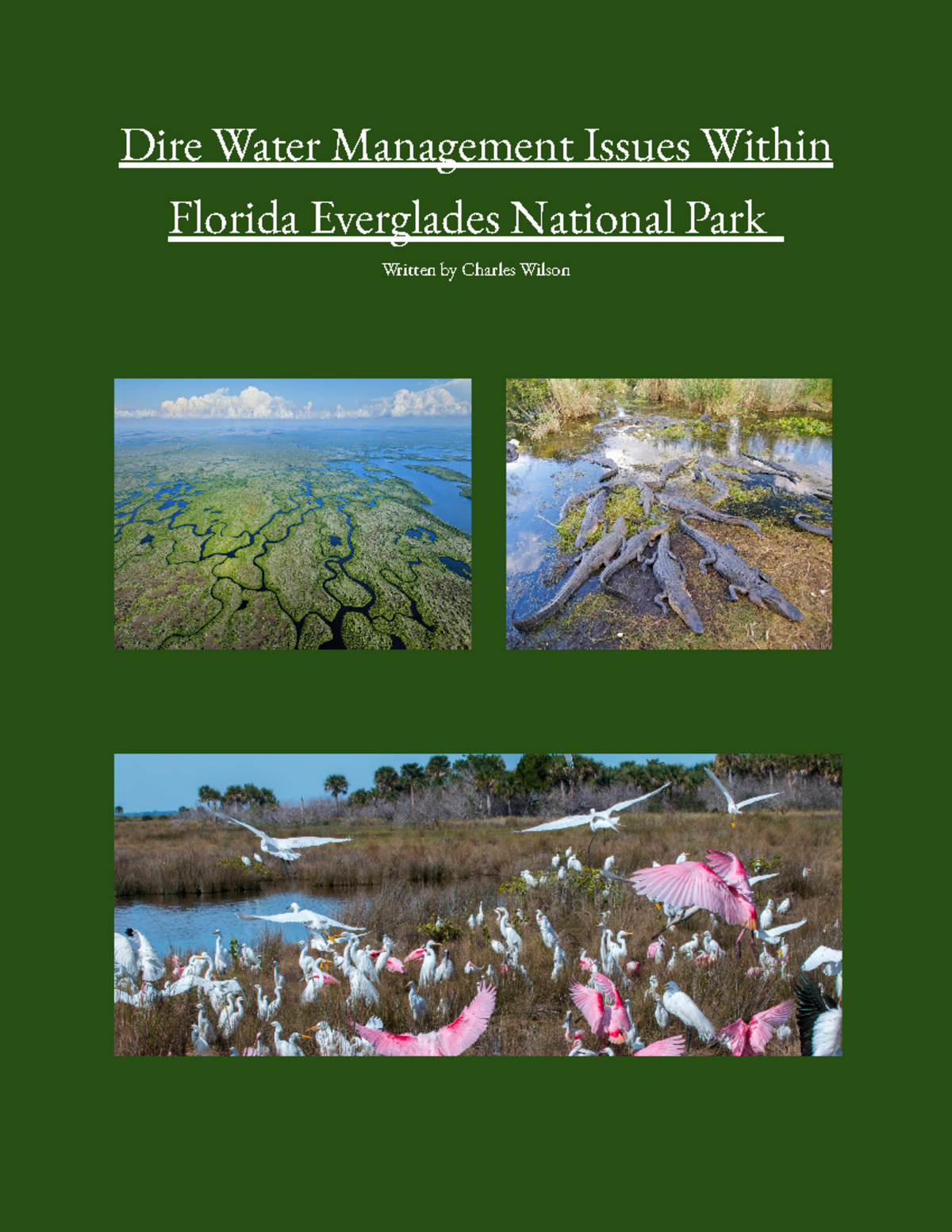Charles Wilson Brochure - Dire Water Management Issues Within Florida ...