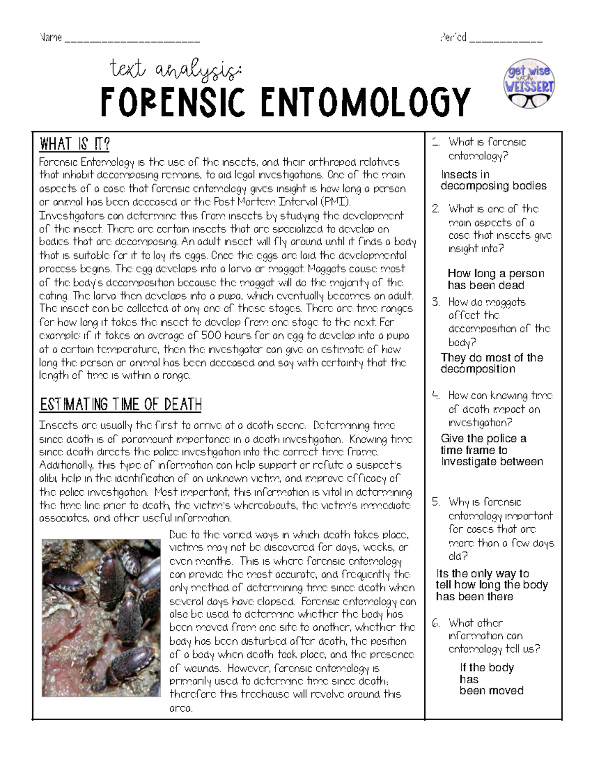 Entomoloy-2 - NOTES - Name ______________________ Period ...