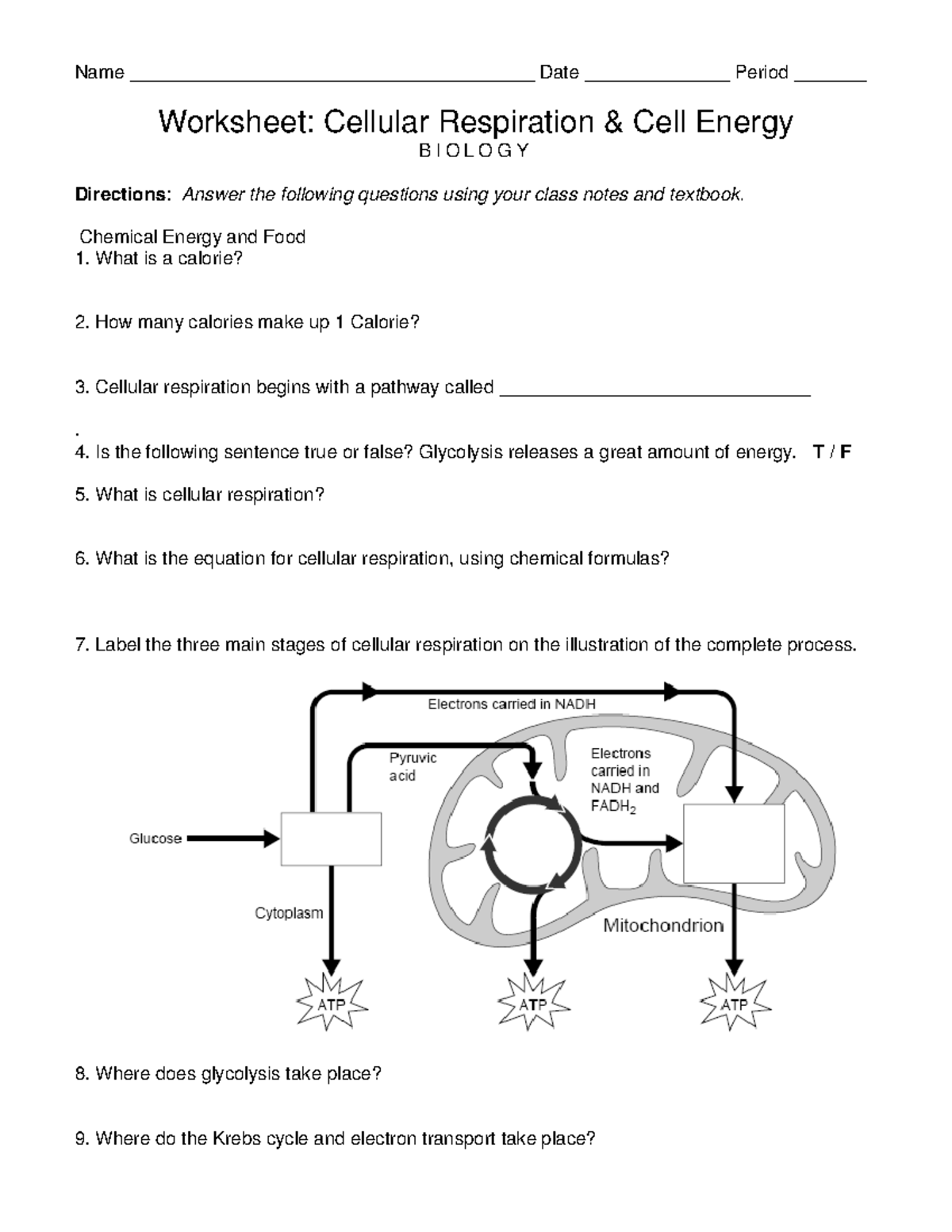 Cellular respiration 2 - Chemical Energy and Food What is a calorie ...