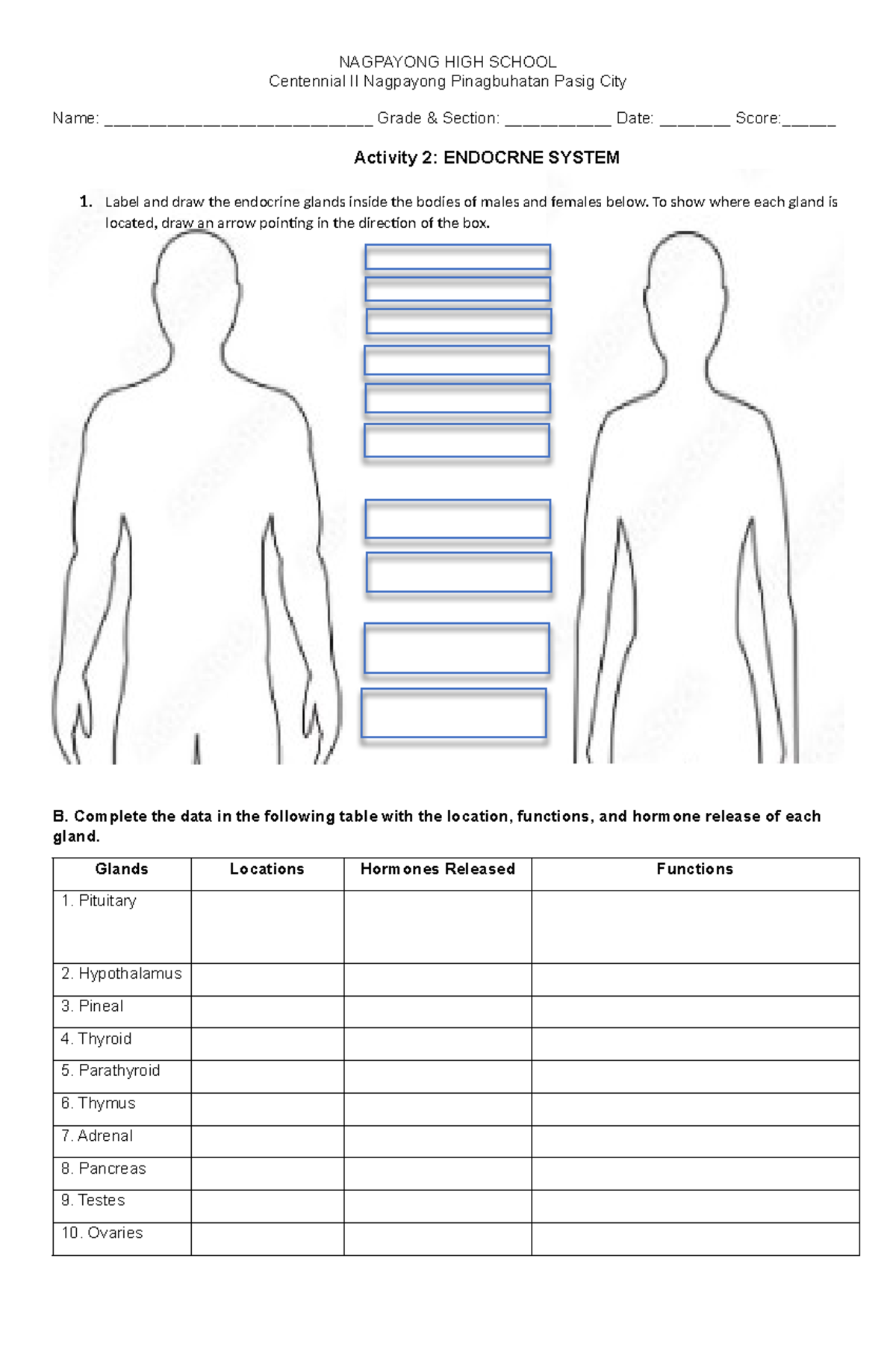 Q3 Activity 2 Endocrine system - NAGPAYONG HIGH SCHOOL Centennial II ...
