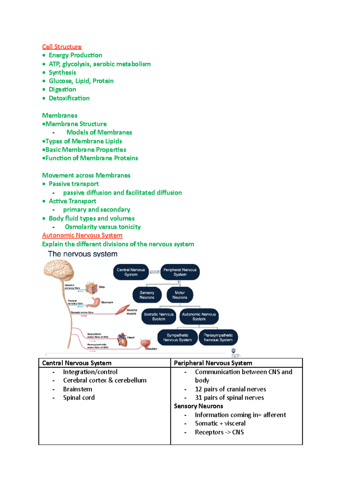 Anatomy Lecture Notes ALL - Cell Structure Energy Production ATP ...