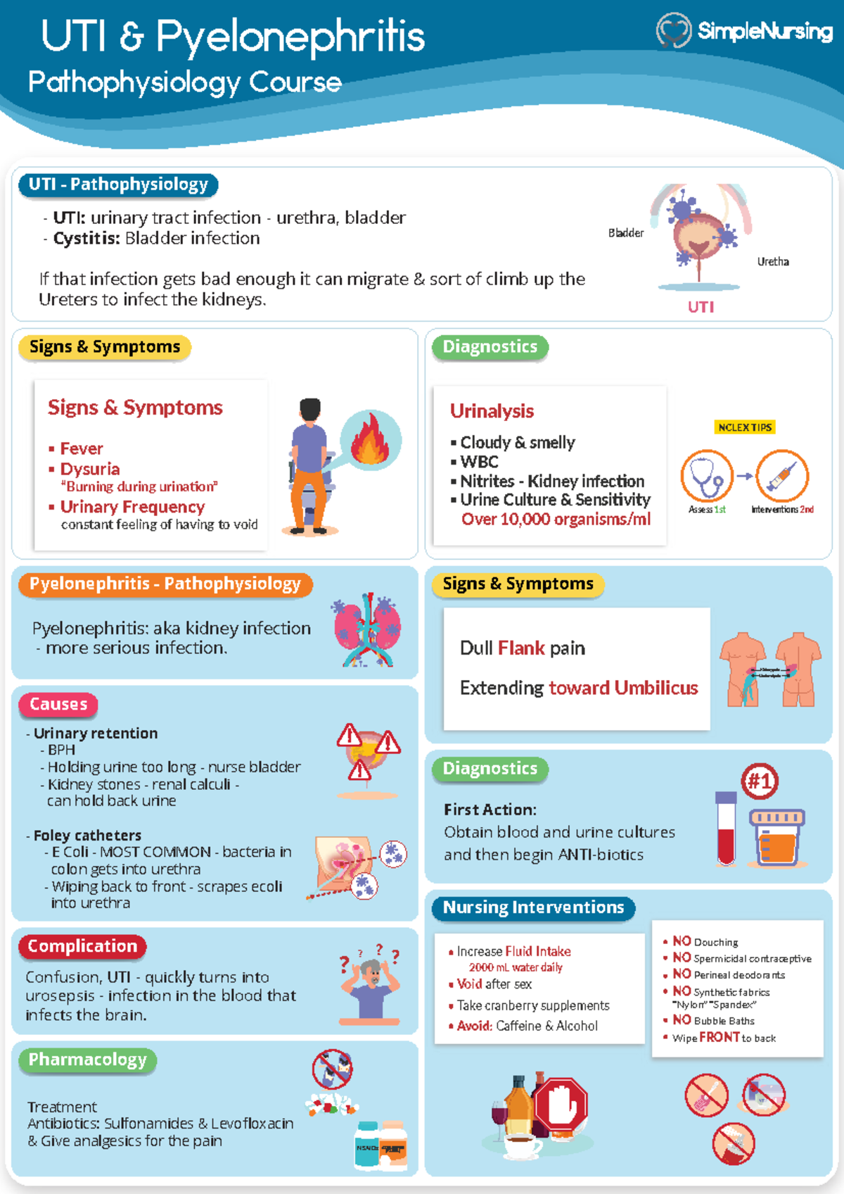 51. UTI & Pyelonephritis - UTI & Pyelonephritis Pathophysiology Course ...
