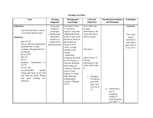 Nursing Care Plan with Given Situation Sample - CASE SCENARIO: Joker ...
