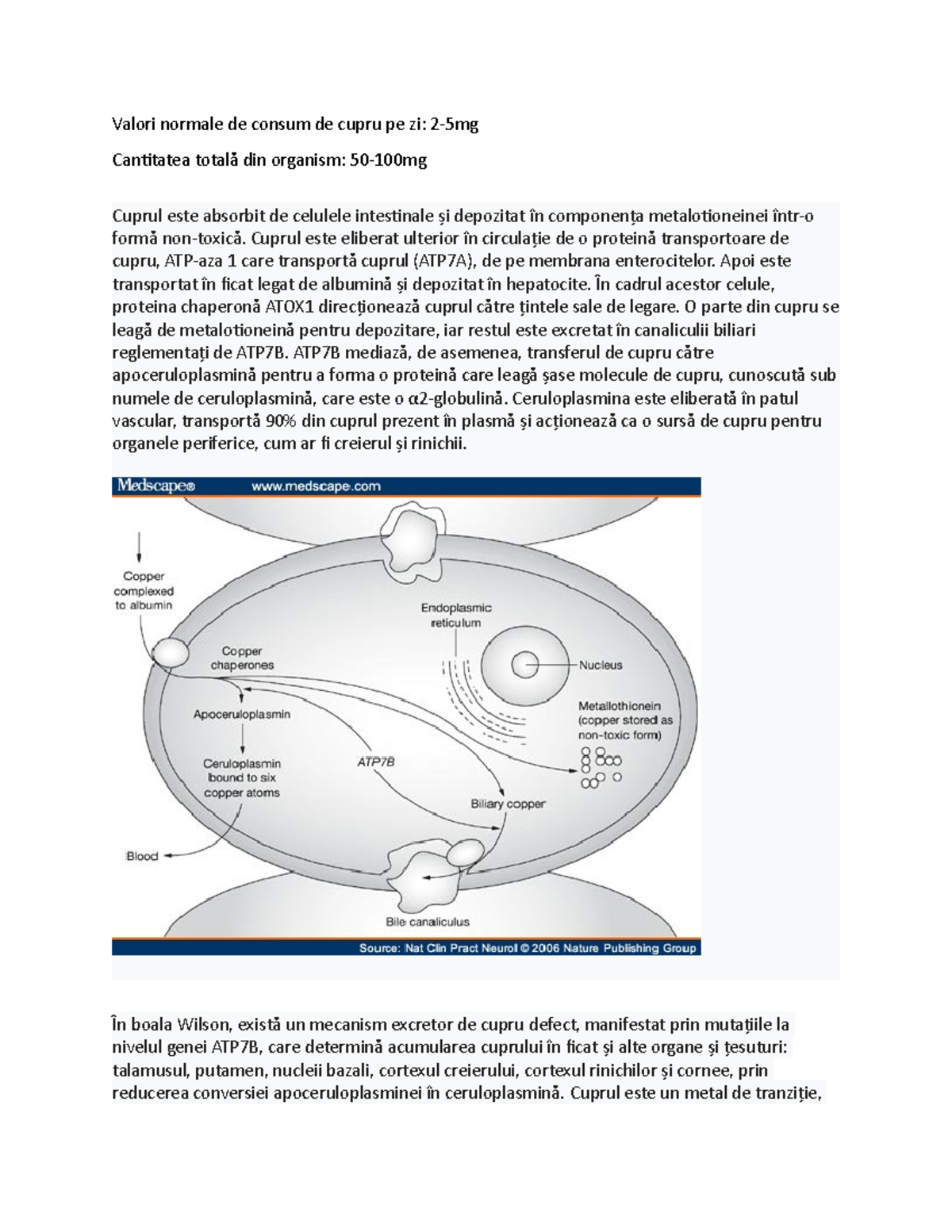 Patogeneza boala wilson - Valori normale de consum de cupru pe zi: 2 ...