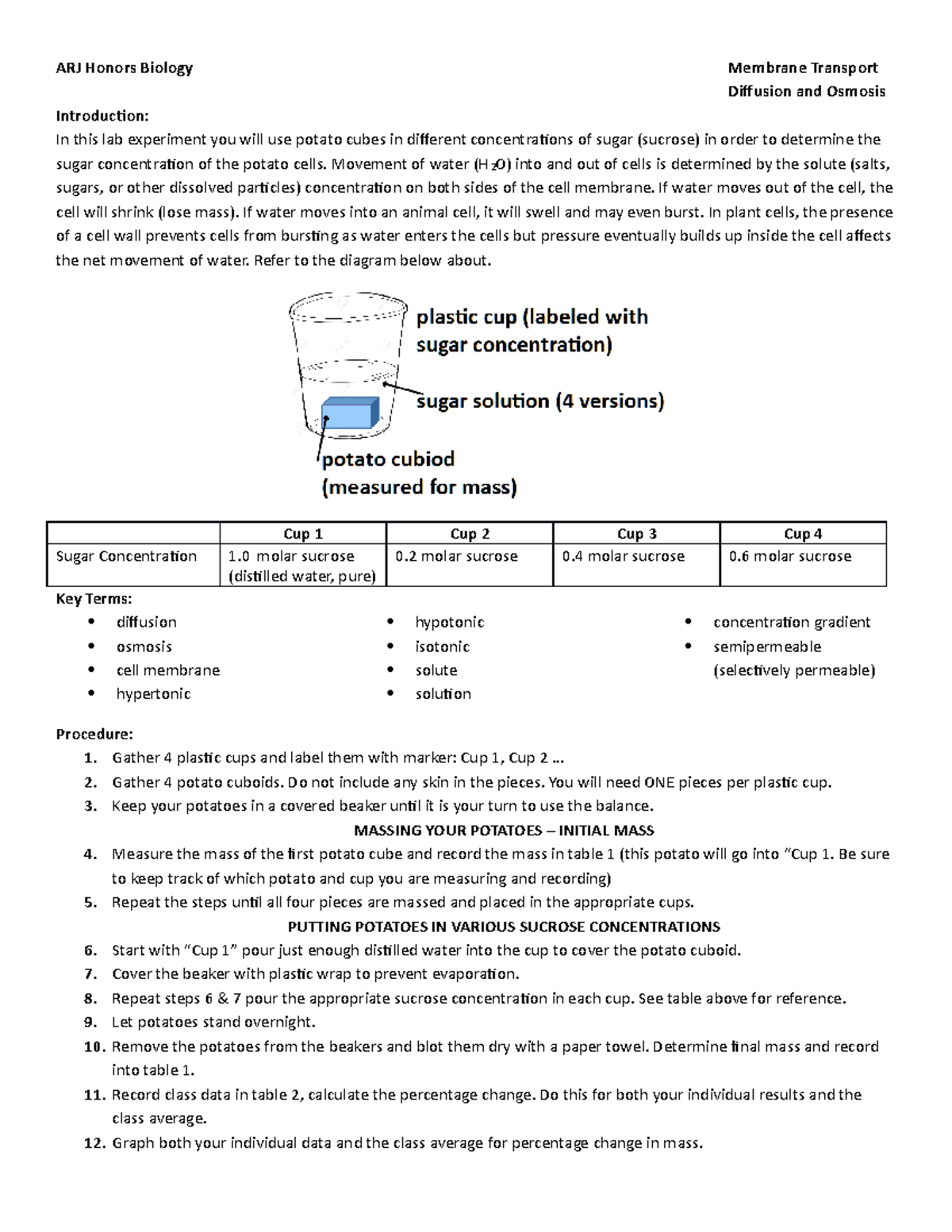 Lab Osmosis Potato Sucrose Arj Honors Biology Membrane Transport