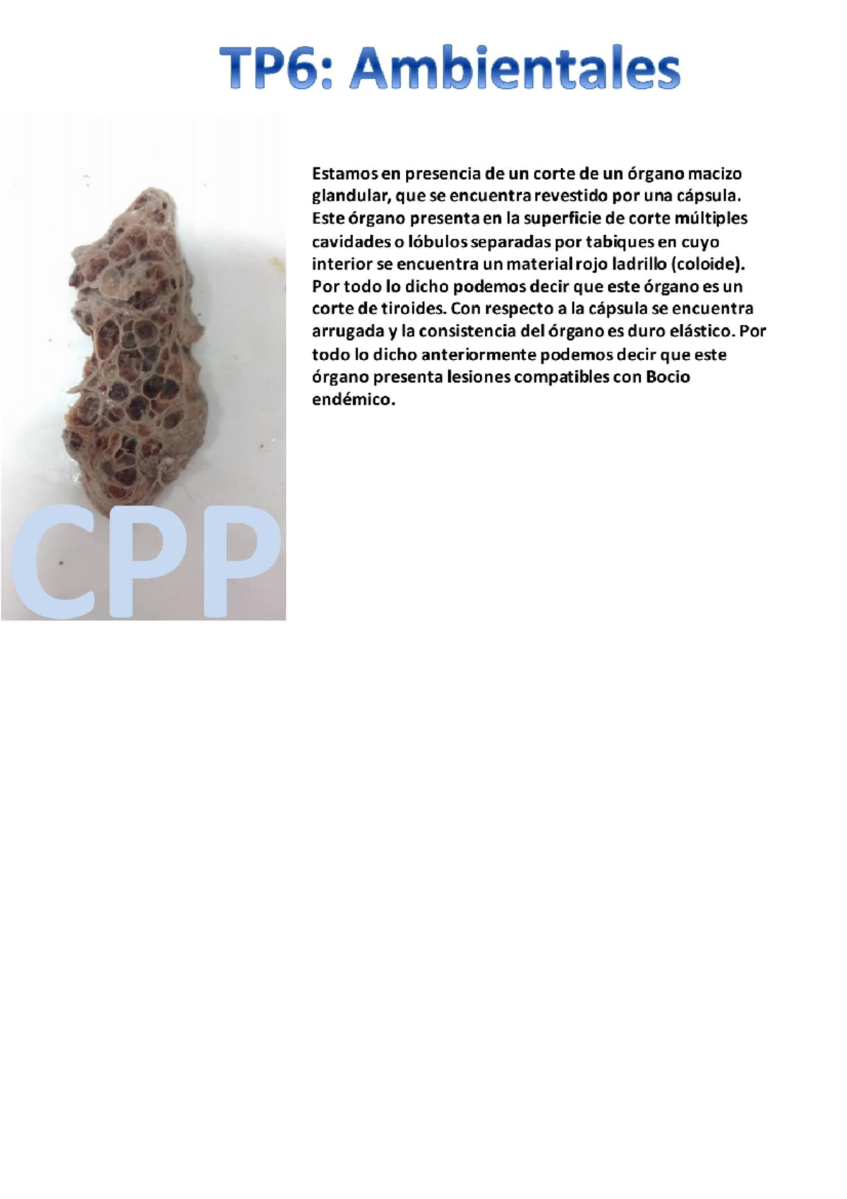 Macro TP6 y TP7 (Oficial) - Patología - Studocu