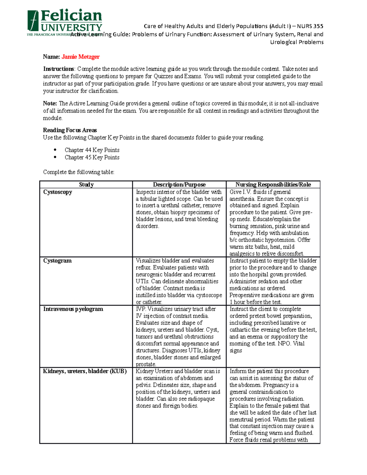 355 Module 14 Alg Active Learning Guide Active Learning Guide Problems Of Urinary Function