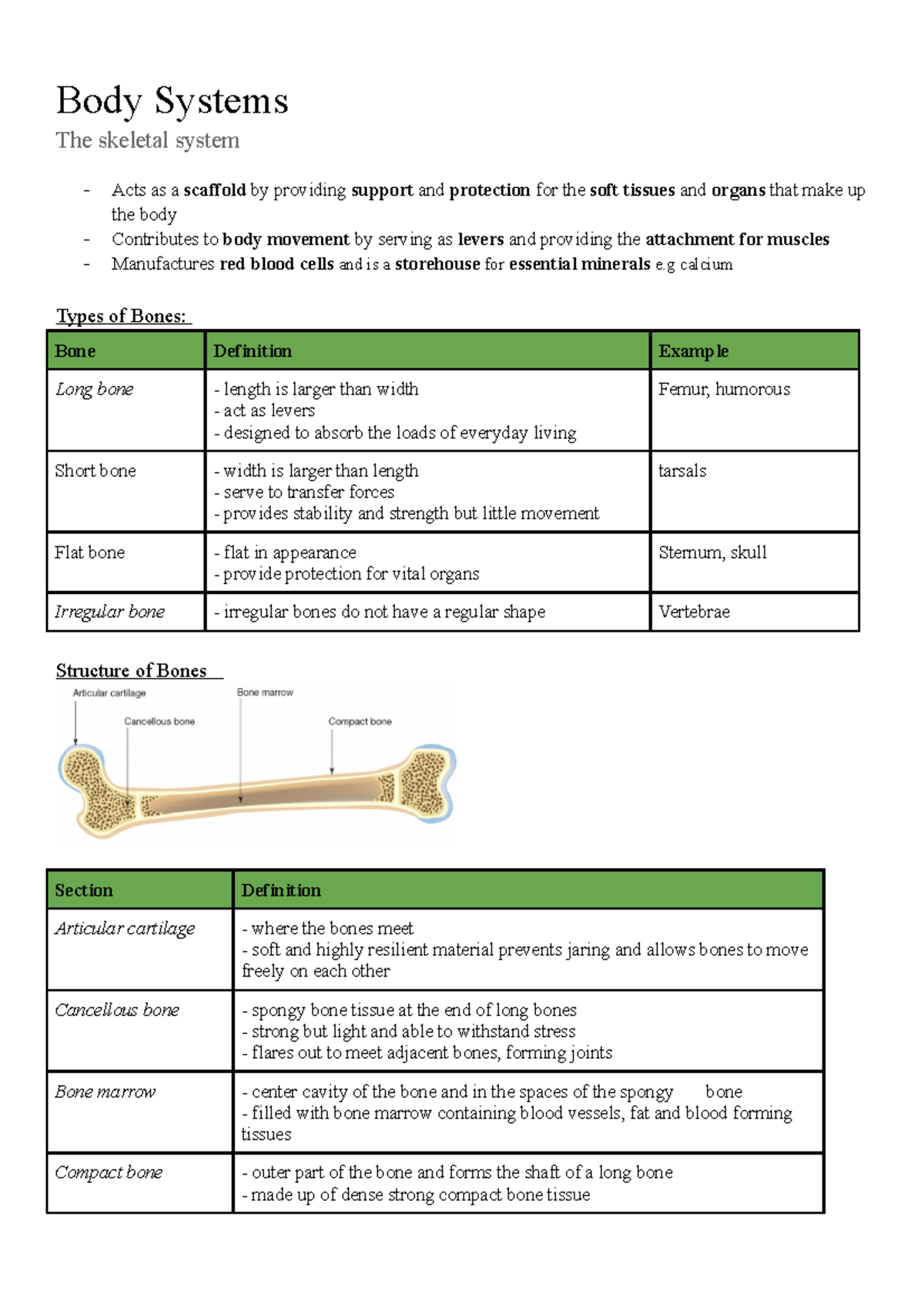 Core two - Core 2 PDHPE year 11 notes - Body Systems The skeletal ...