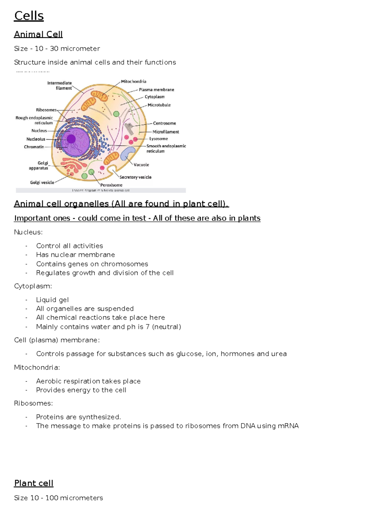 Biology Cells revision AQA GCSE - Cells Animal Cell Size - 10 - 30 ...