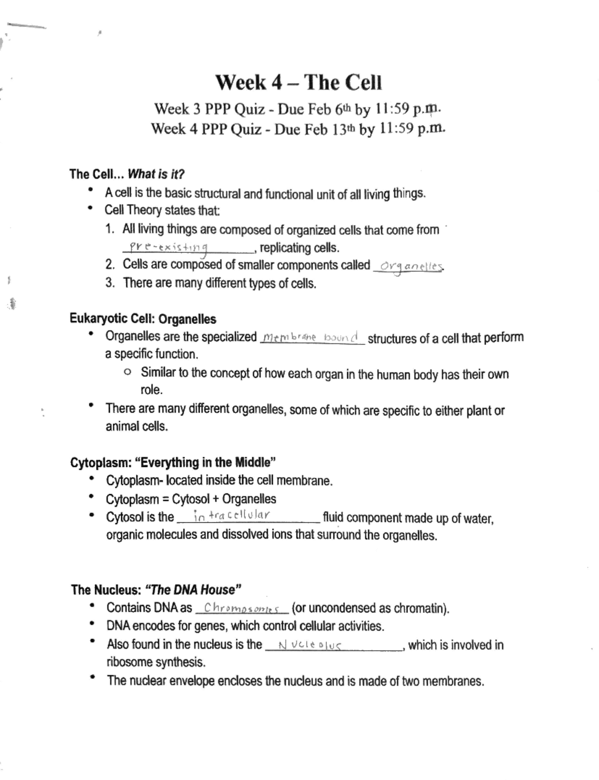 Week 4 The cell - notes about the cell such as the rules and its ...