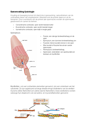 anatomie en fysiologie van de mens, Hoofdstuk 3 weefsels - Menselijk ...