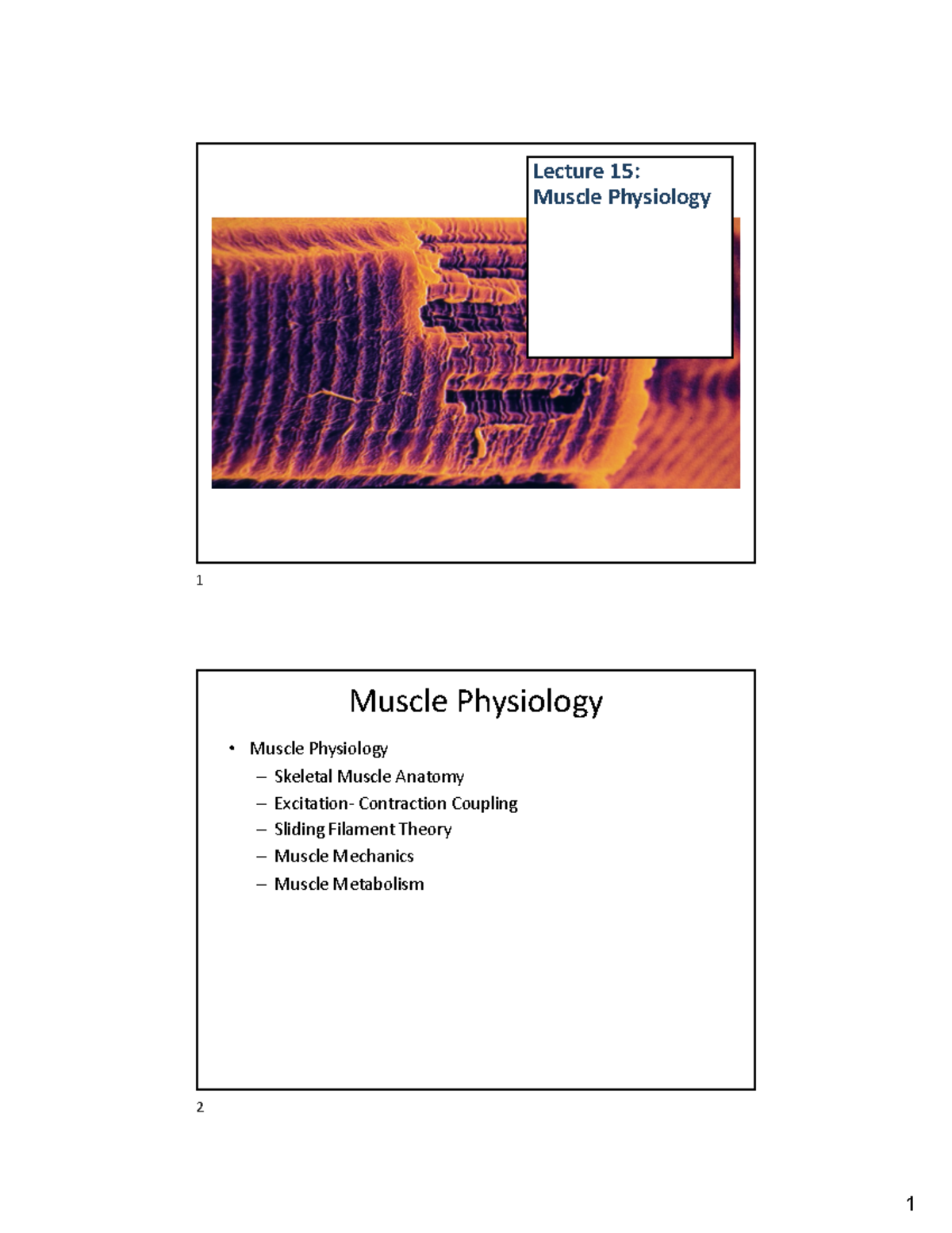 BIO6-Lecture 15-Muscle Physiology PDF - Lecture 15: Muscle Physiology 1 ...
