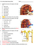 BIO 2111 - Anatomy And Physiology I Laboratory - Studocu