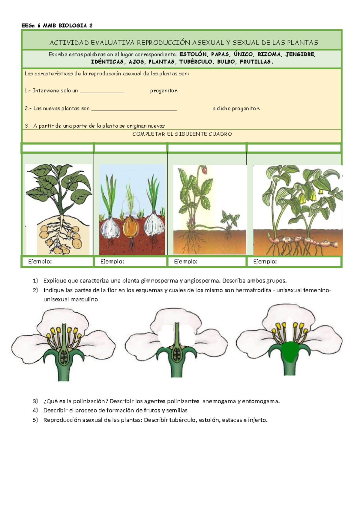 Bio 2 Reproduccion de las plantas - EESn 6 MMB BIOLOGIA 2 ACTIVIDAD ...