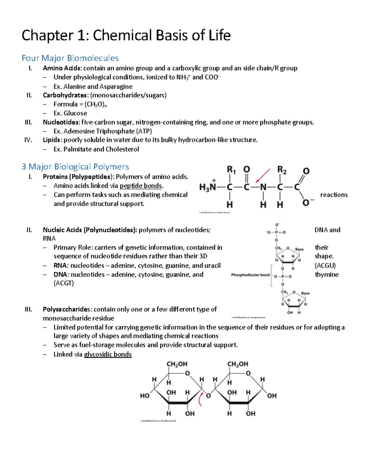 Biochemistry Review - Chapter 1: Chemical Basis of Life Four Major ...
