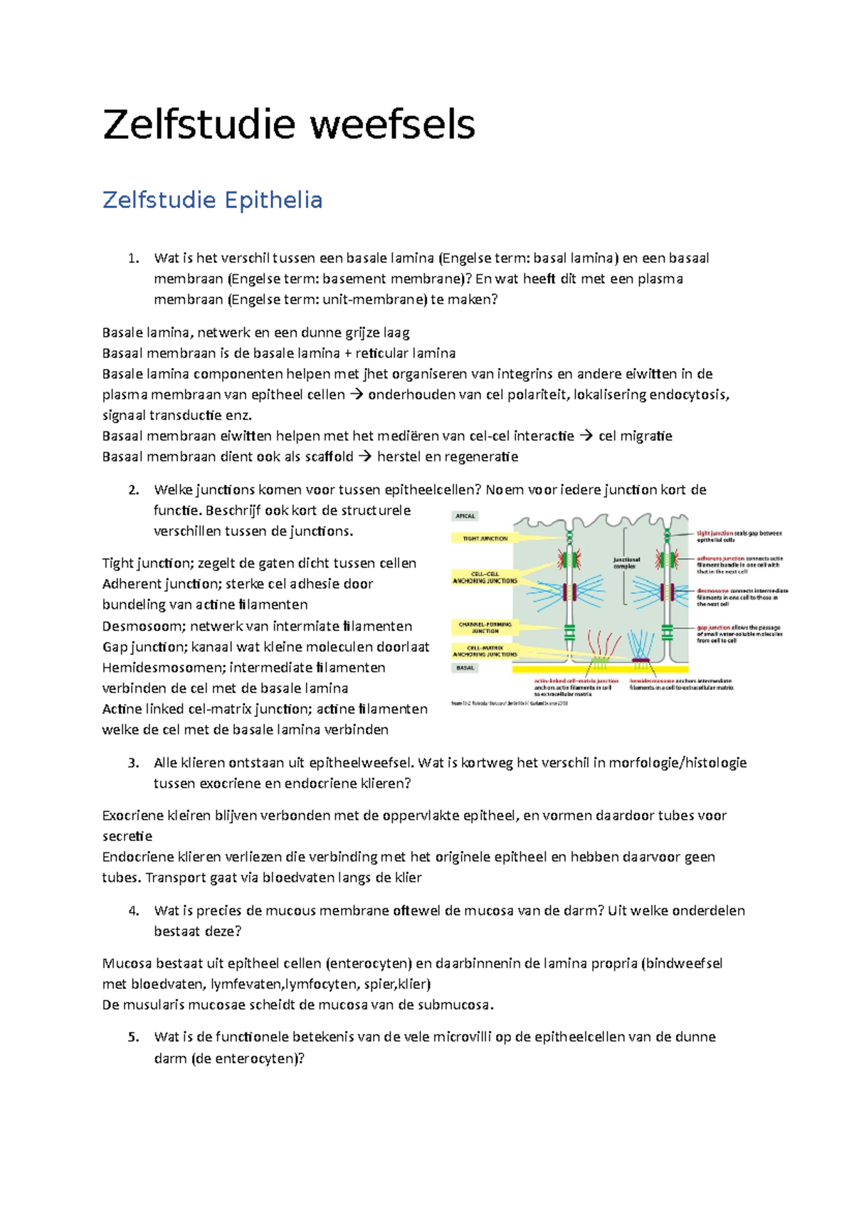 Zelfstudie weefsels - niet compleet - Zelfstudie weefsels Zelfstudie ...