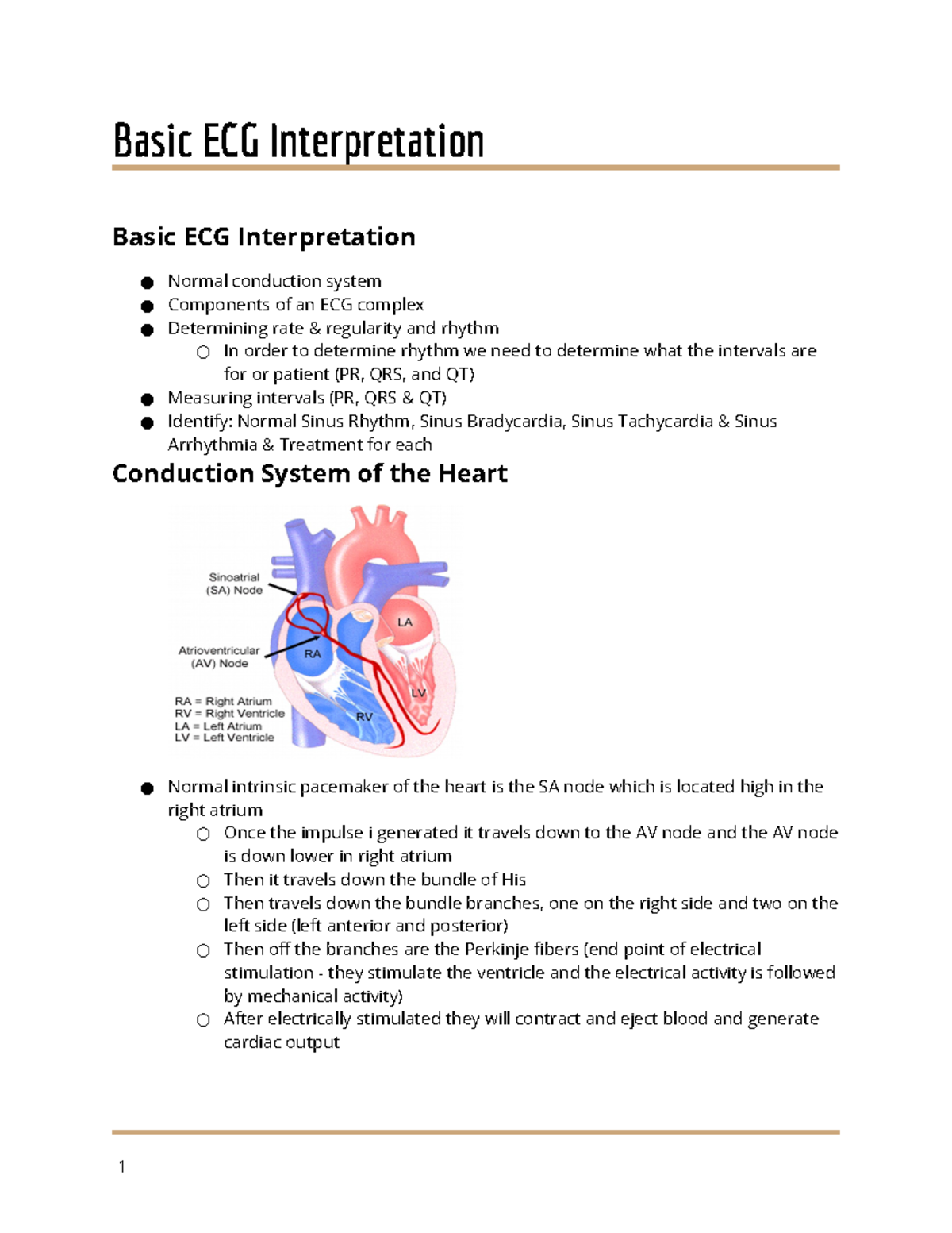 CC — ECG basic interpretation - Basic ECG Interpretation Basic ECG ...