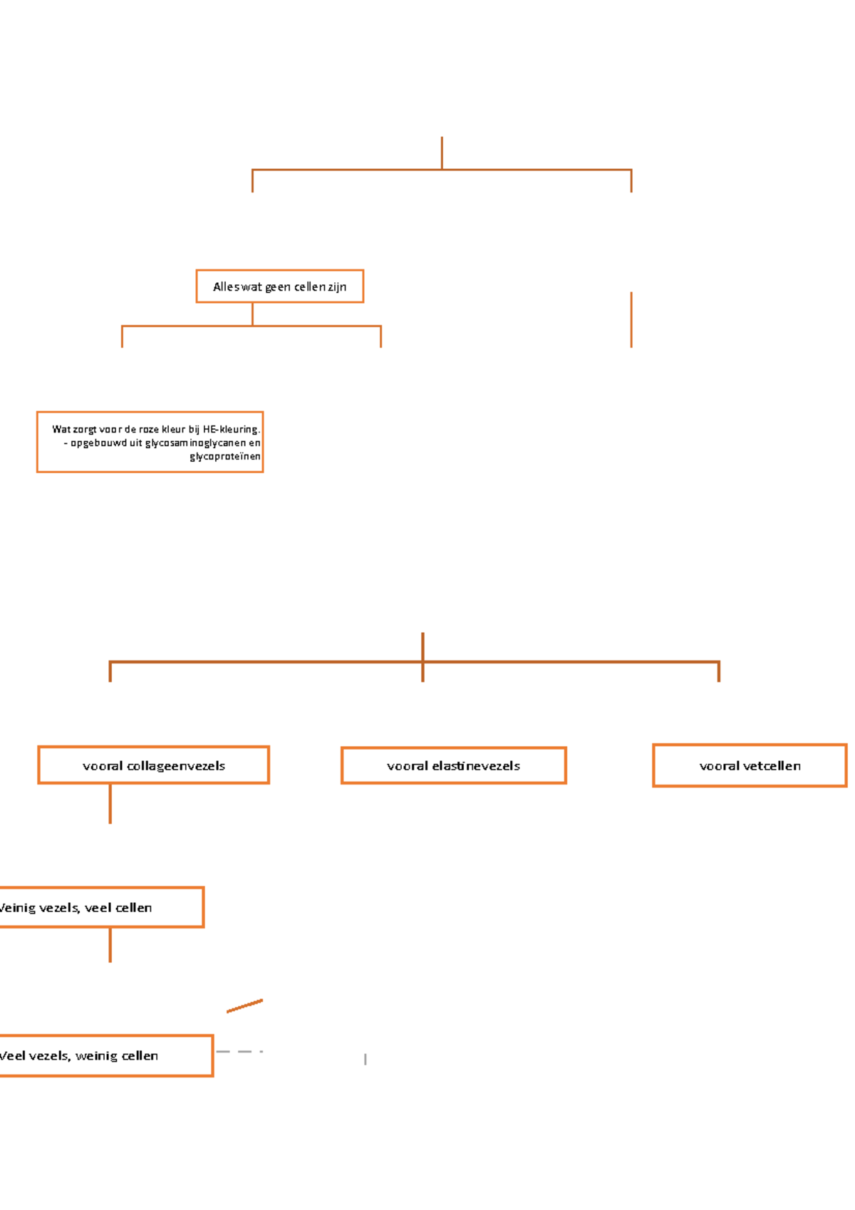 Practicum 4 - epitheel + bindweefsel - BINDWEEFSEL Extracellulaire ...