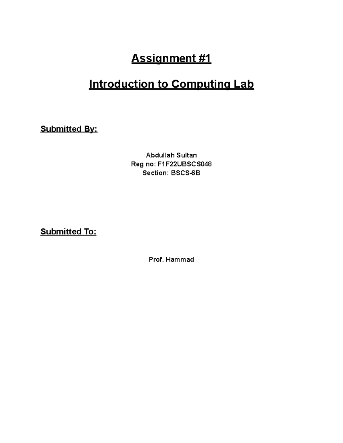 Assignment #1 - sdw - Assignment Introduction to Computing Lab ...