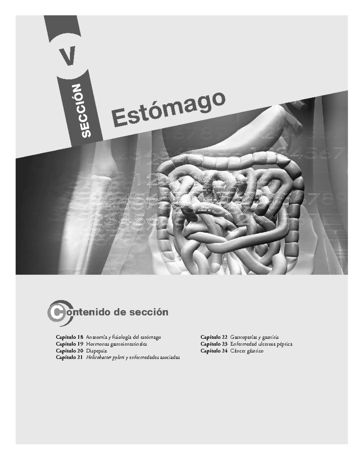 Estómago pdf - repaso - ontenido de sección C SECCIÓN V Estómago ...