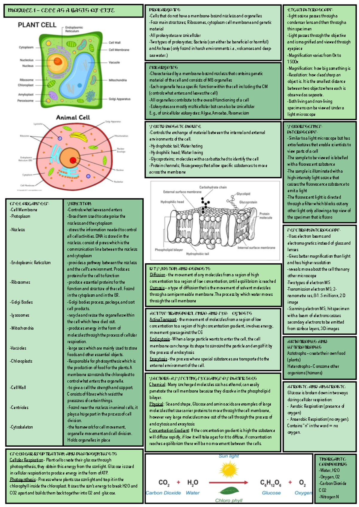 Bio cheat sheet - Module 1 and two summary notes - FLUORESCENCE ...