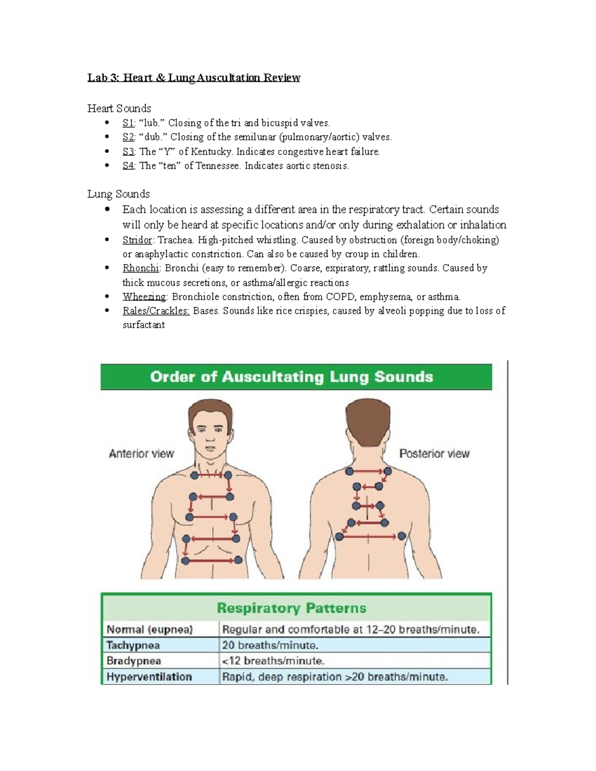 Lab 3 Review sheet - Lab 3: Heart & Lung Auscultation Review Heart ...
