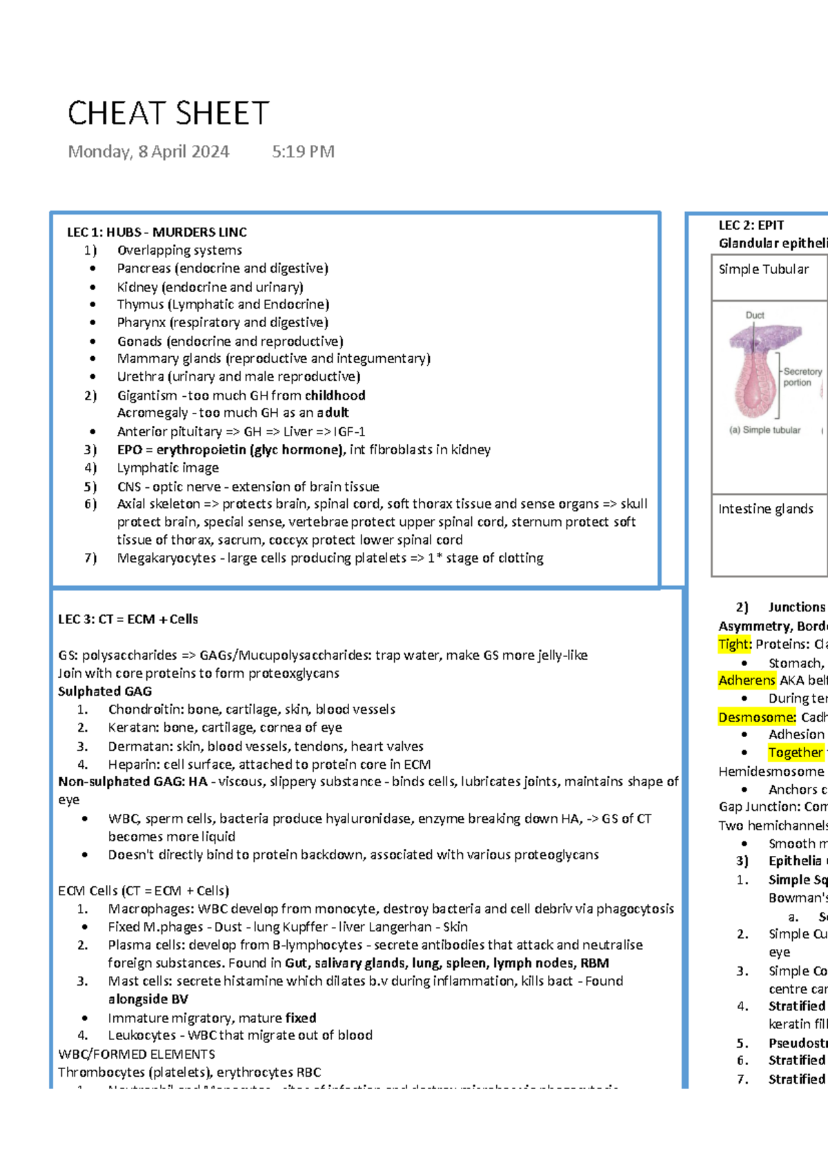 Cheat Sheet - LEC 1: HUBS - MURDERS LINC Overlapping systems Pancreas ...