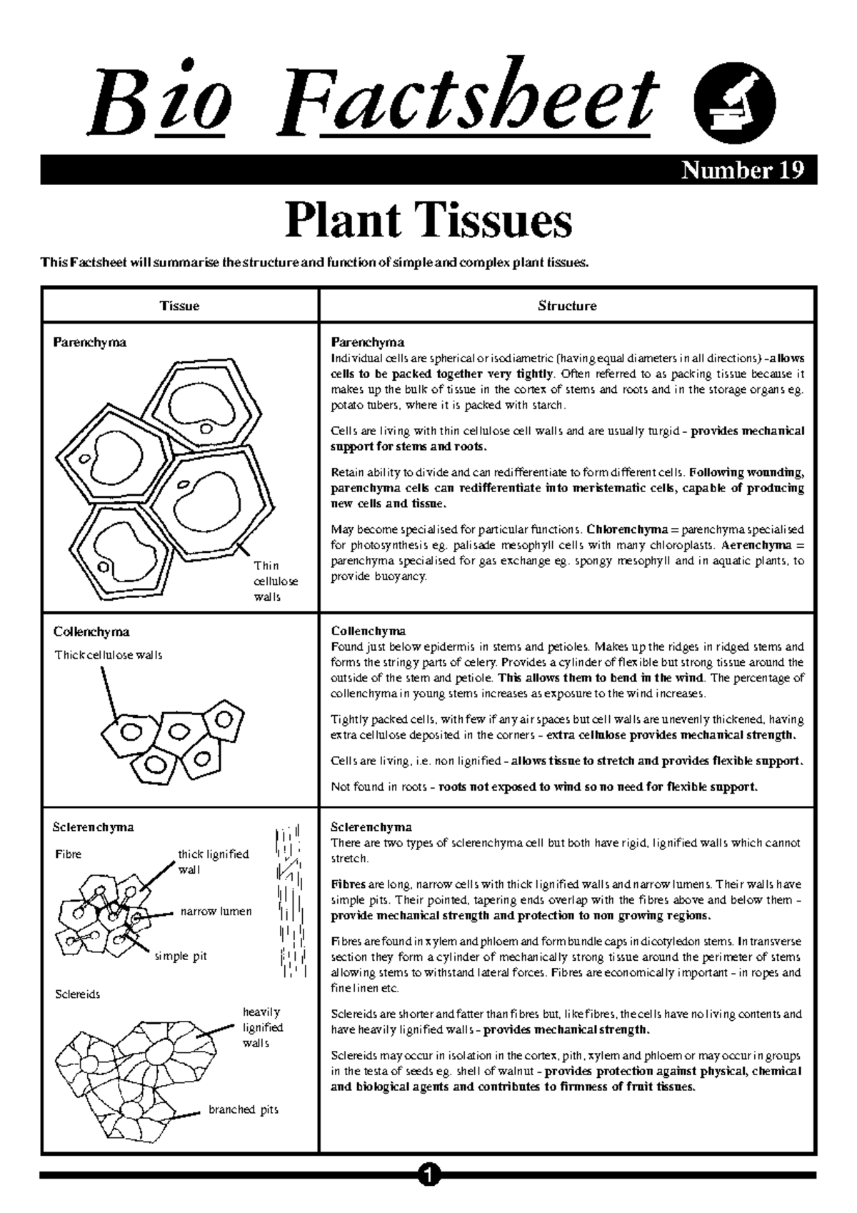 19 Plant Tissues - lecture notes - Plant Tissues B io F actsheet April ...