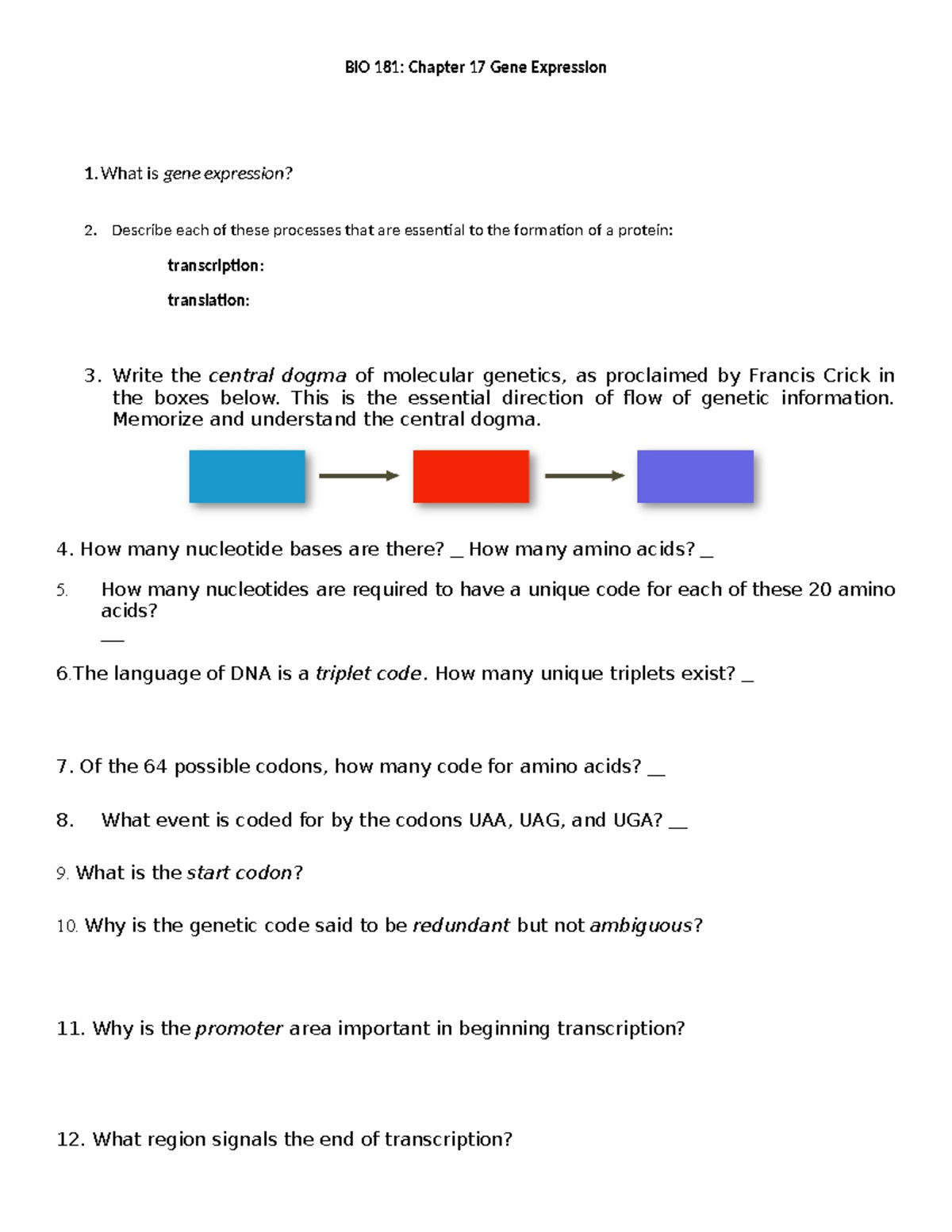 Chapter 17 Study Guide-participation - BIO 181: Chapter 17 Gene ...