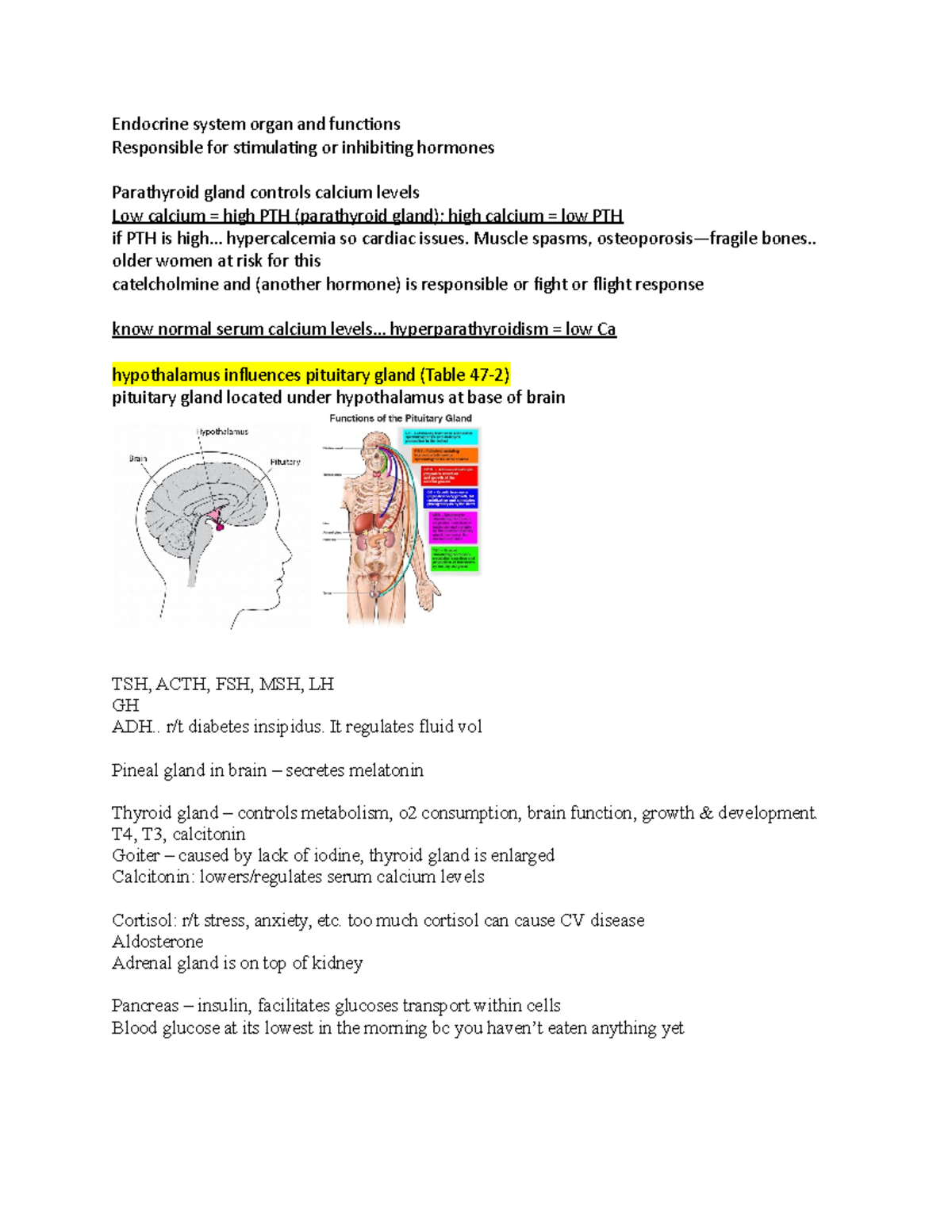Endocrine system organ and functions - Endocrine system organ and ...
