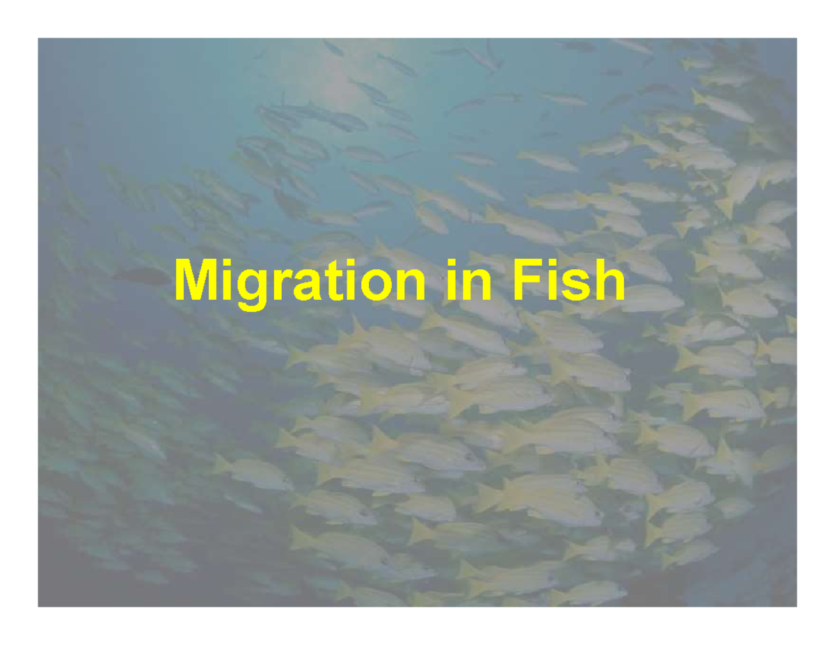 Chp migration - Migration in Fish CONTENTS MIGRATION SOME EXAMPLES OF ...