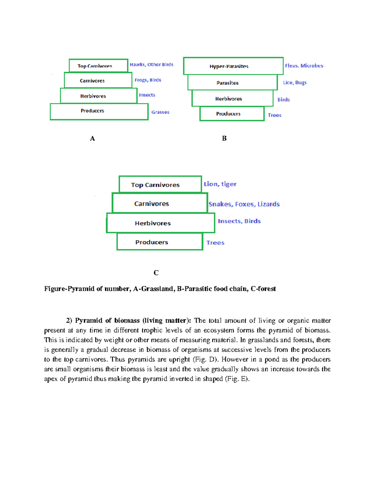 EVS ist sem2 - Understanding environment BG ist semester - A B C Figure ...